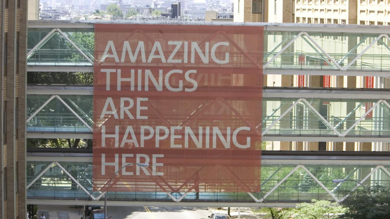 Dena Goffman, MD | Obstetrics & Gynecology