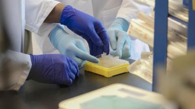 Research | Obstetrics & Gynecology